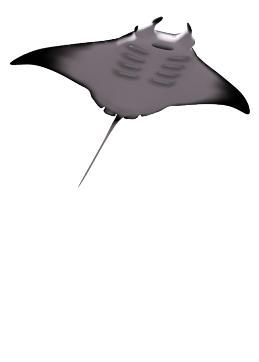 WebAR SDK | Web Augmented Reality Software Development Kit - Blippar