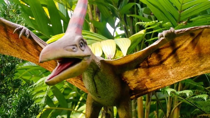 Singapore Zoo | Augmented Reality Examples