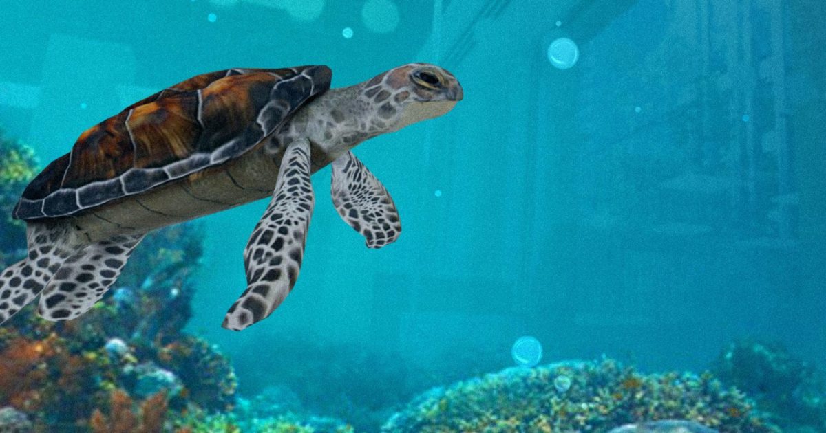 WebAR SDK | Web Augmented Reality Software Development Kit - Blippar