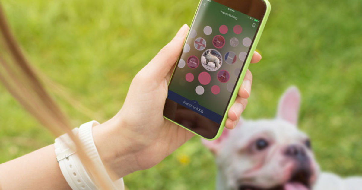 Introducing the New Blippar App: The Power of Visual Discovery - News ...